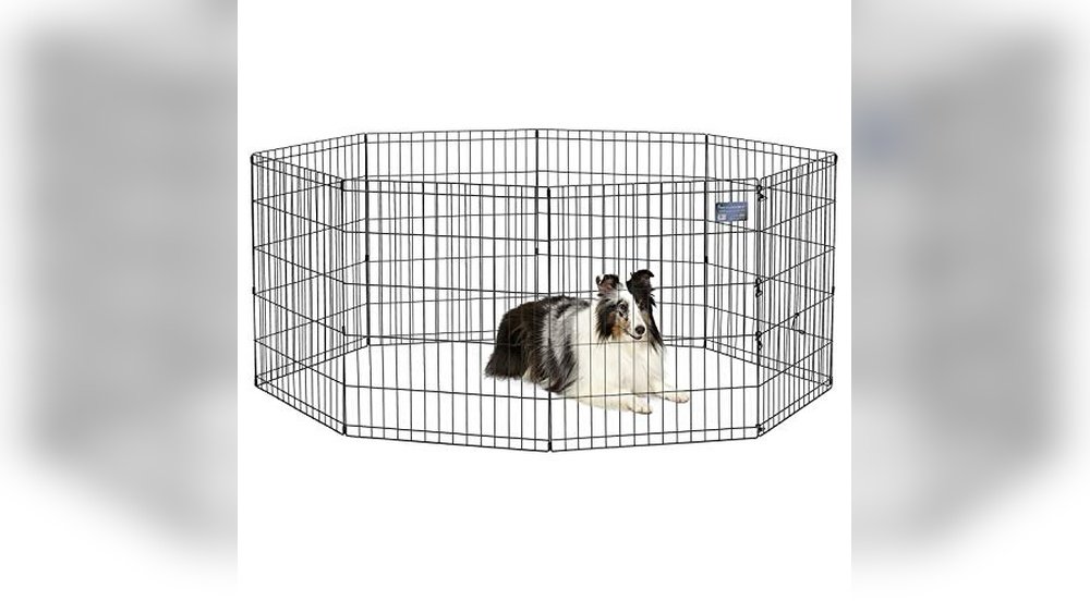 Dog Metal Gate Buyers Guide 2026: Best Durable Options Reviewed ...